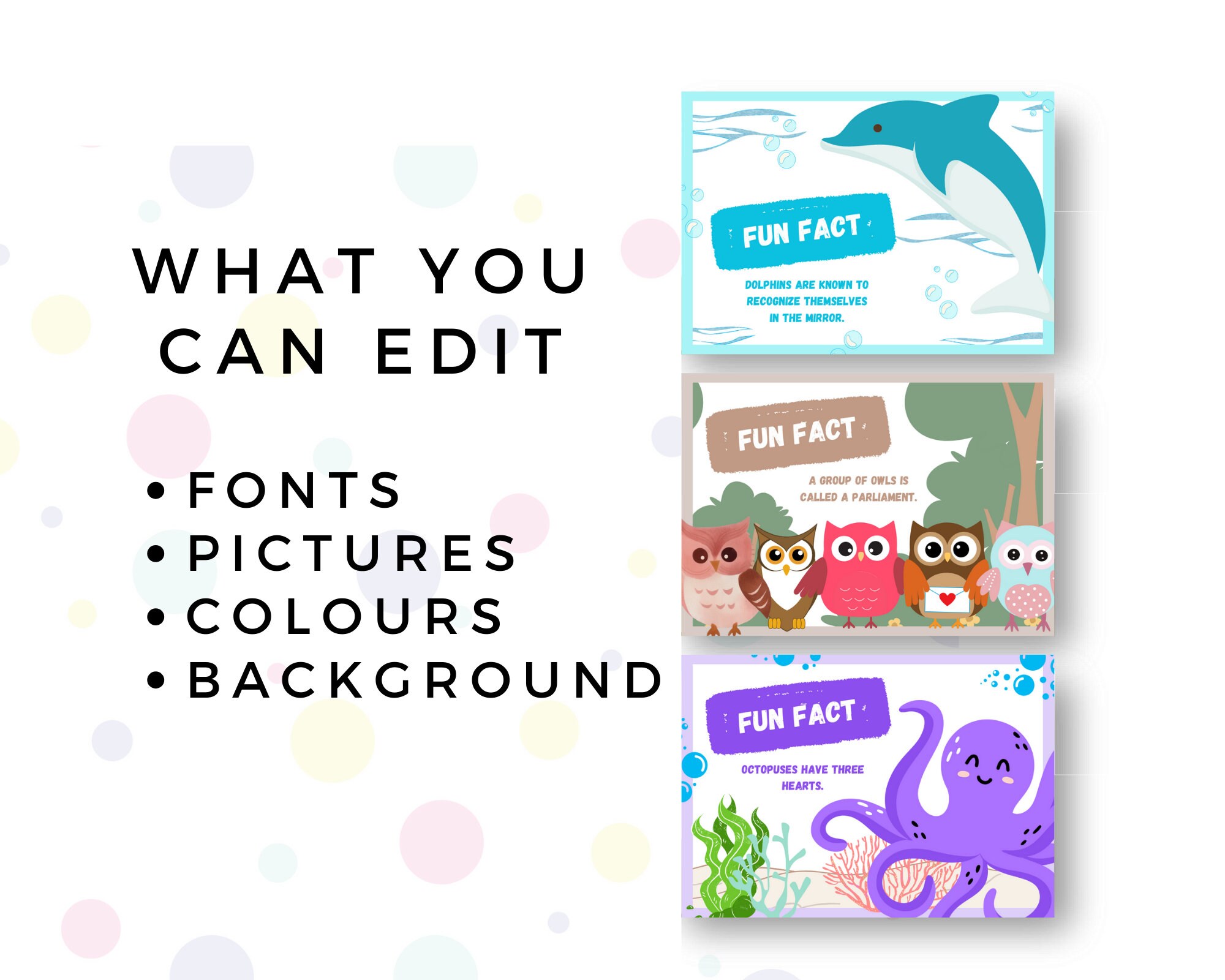 Fun Facts for Kids Animal Facts Fruit Art for Kitchen Kids or Office by ...