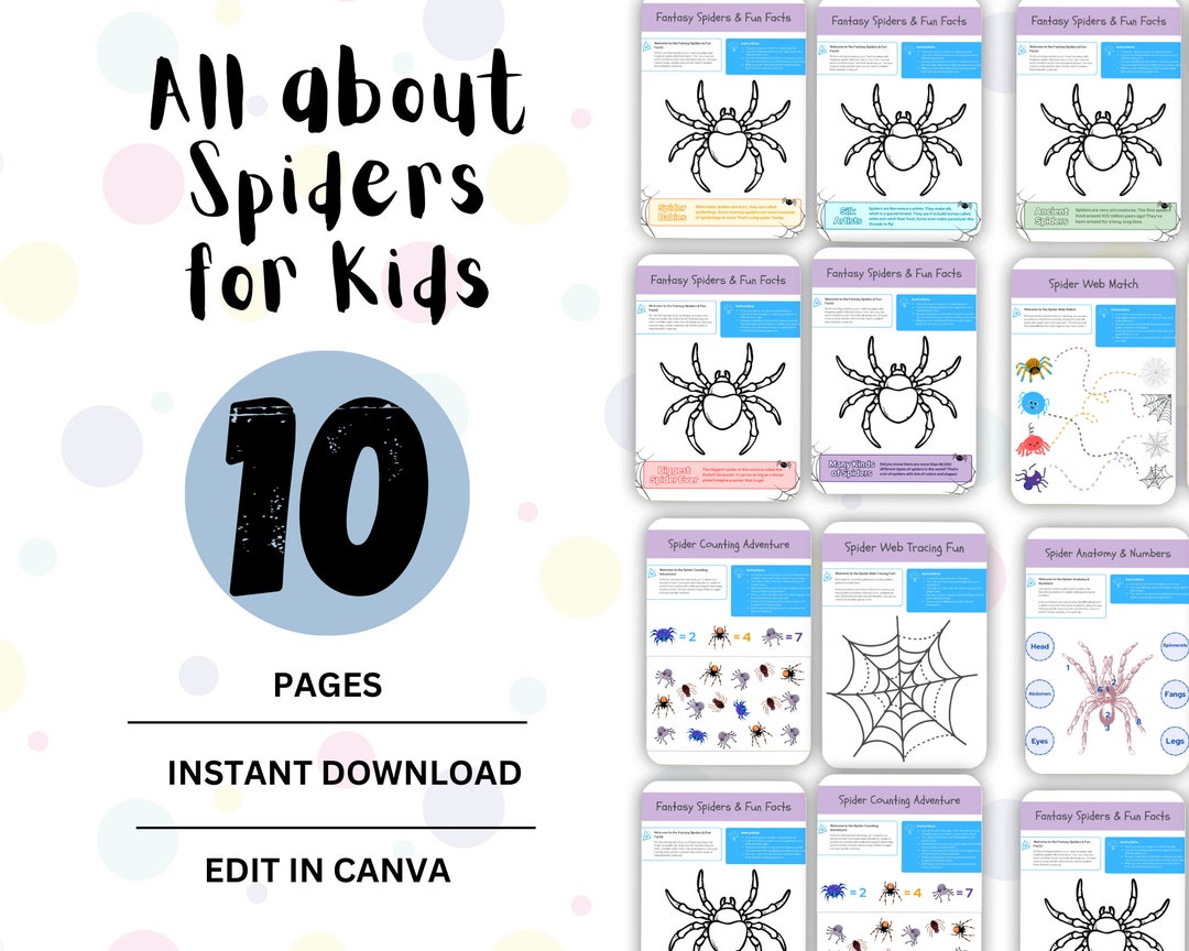 SPIDERS Types of Spiders Flash Cards | Montessori Inspired Learning ...