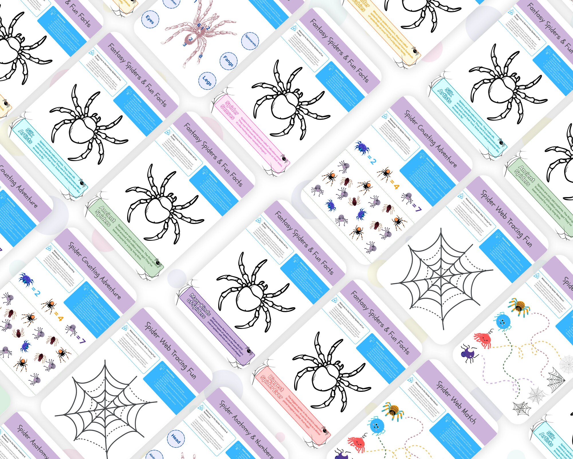 SPIDERS Types of Spiders Flash Cards | Montessori Inspired Learning ...