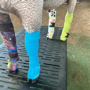 Lamb Leg Wraps - Etsy