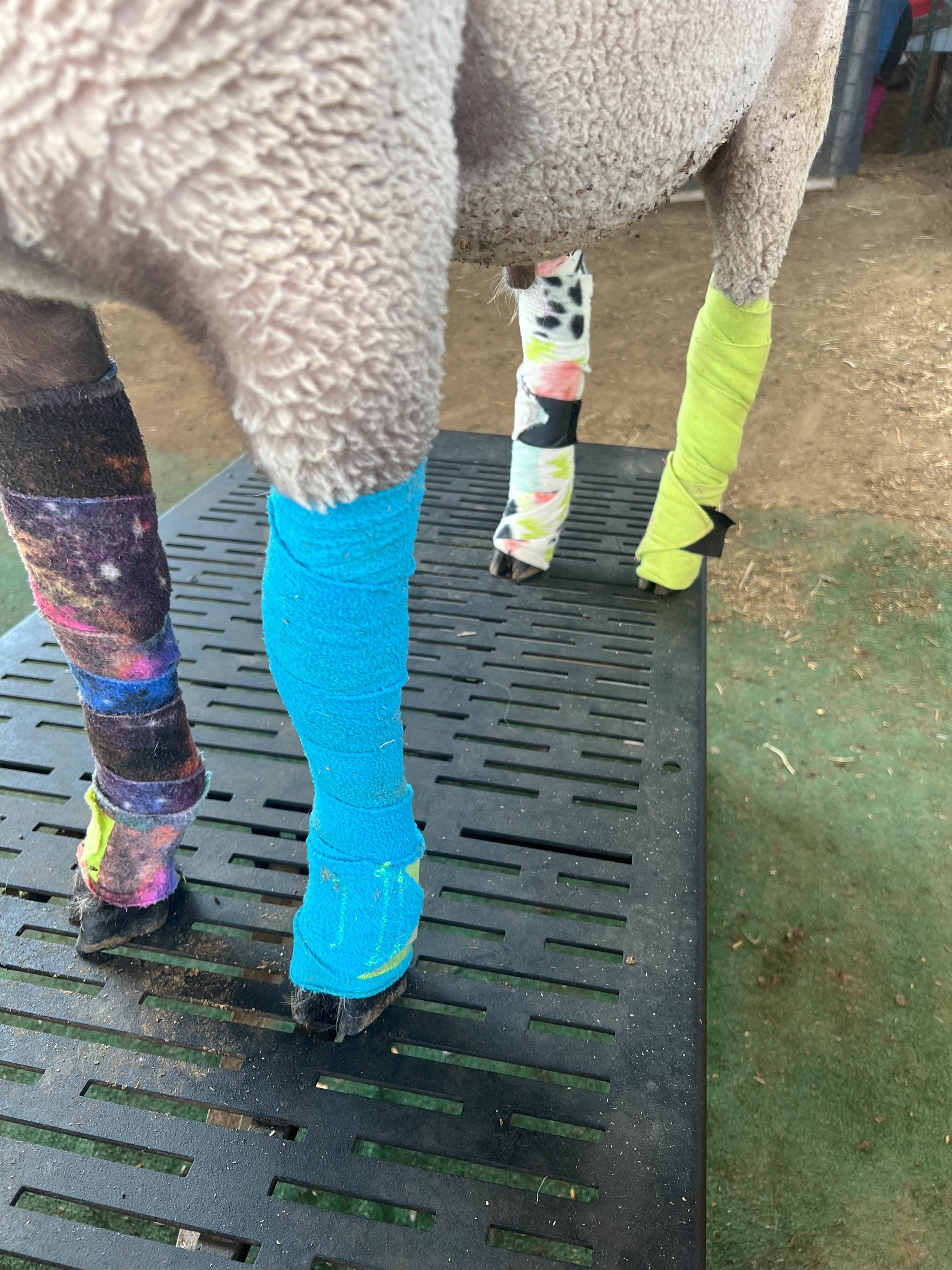 Lamb Leg Wraps - Etsy