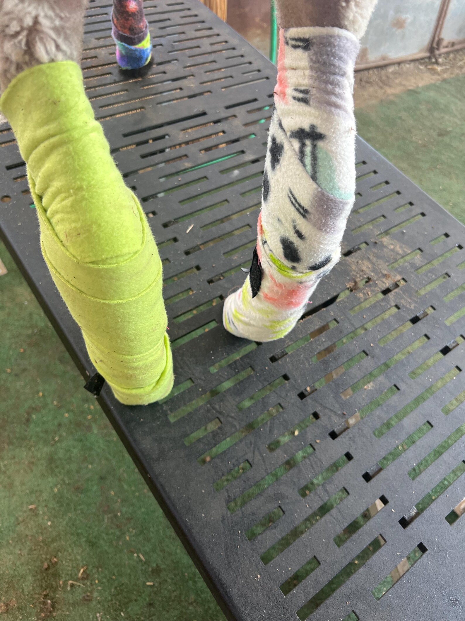 Lamb Leg Wraps - Etsy