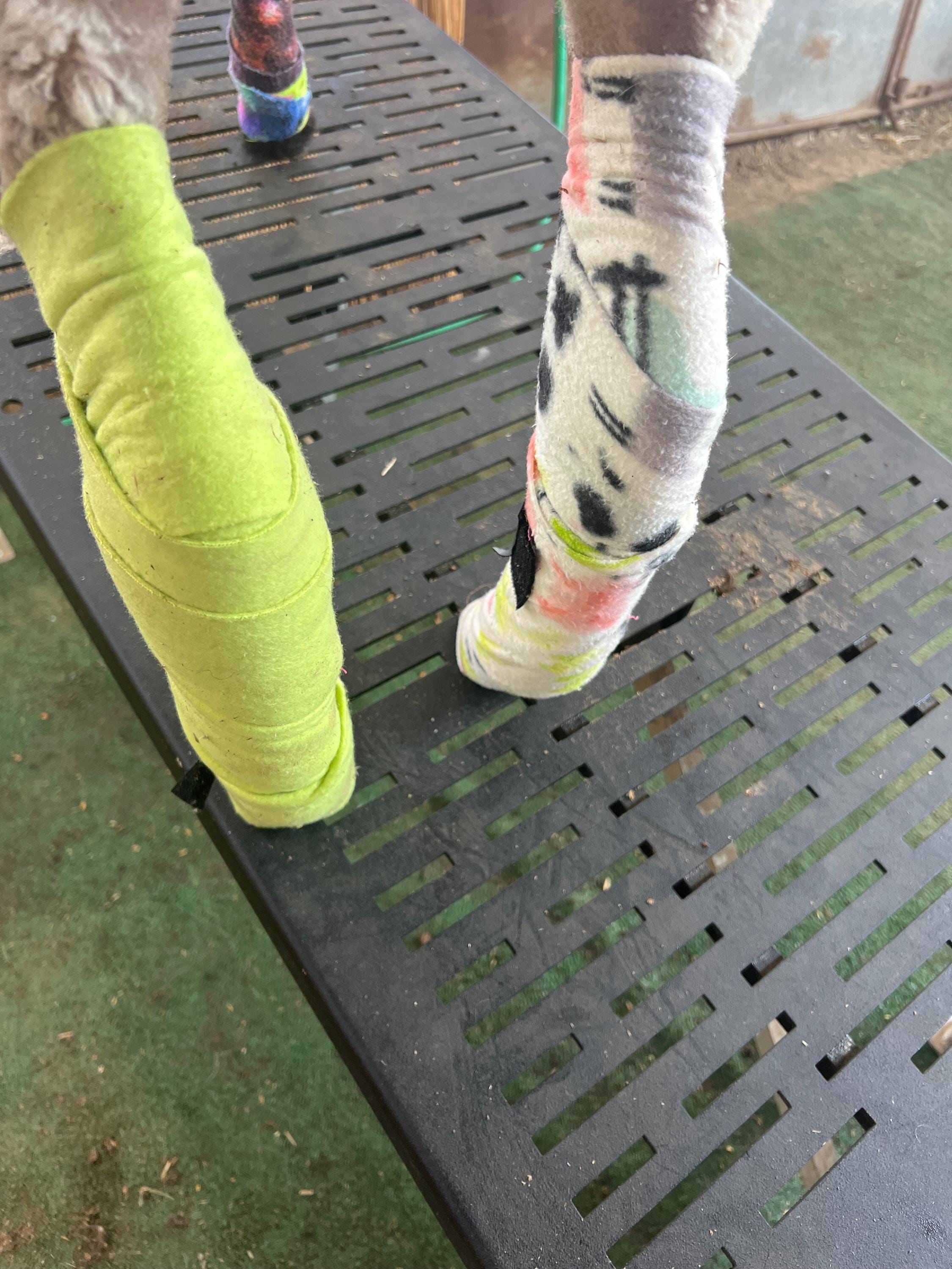 Lamb Leg Wraps - Etsy