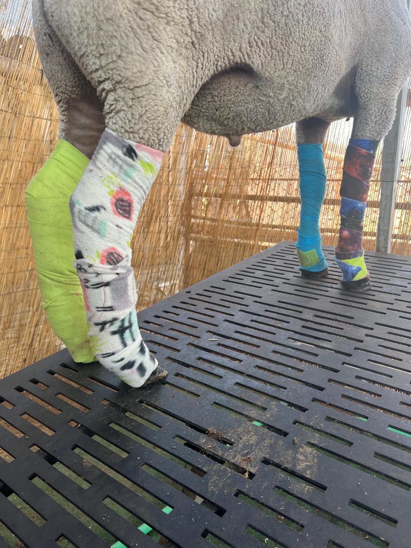 Lamb Leg Wraps - Etsy