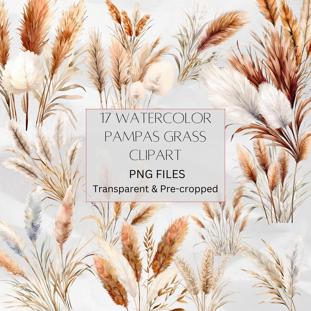 17 Pampas Grass Clipart, Watercolor Digital Sticker Bundle, Printable ...