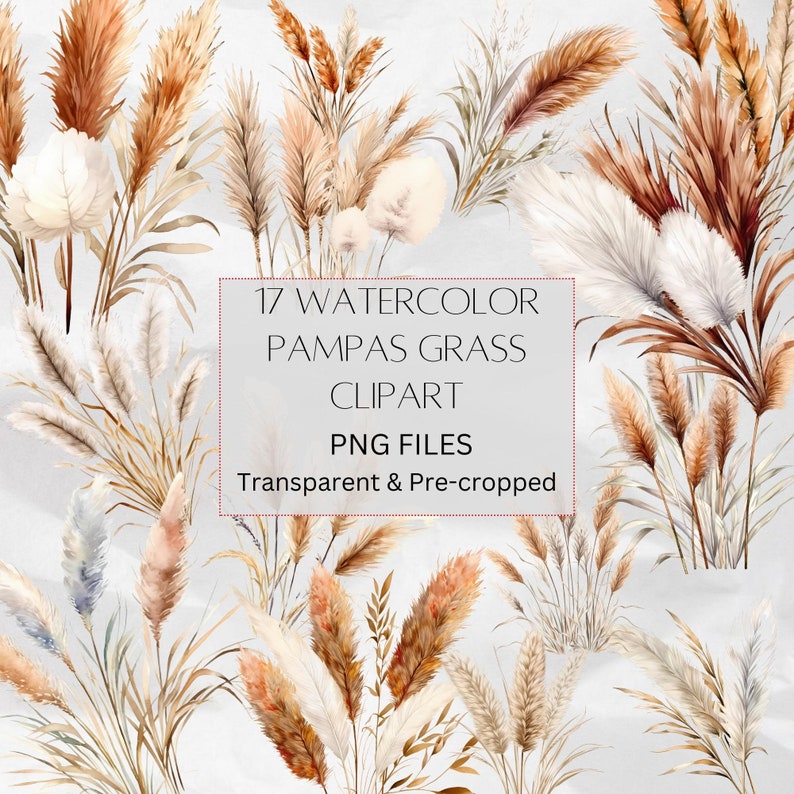 17 Pampas Grass Clipart Watercolor Digital Sticker Bundle - Etsy