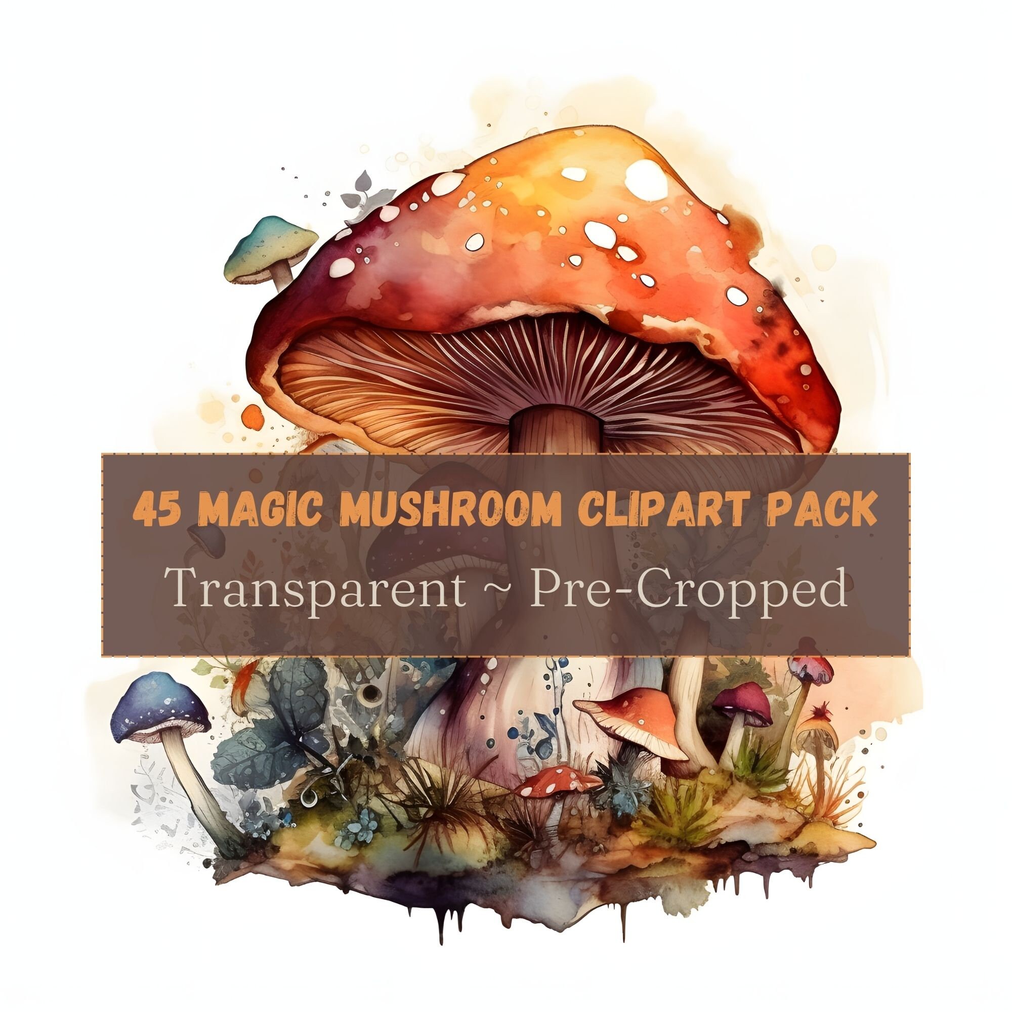 Magic Mushroom Clipart Pack Mushrooms Clip Art Magic Digital Art ...