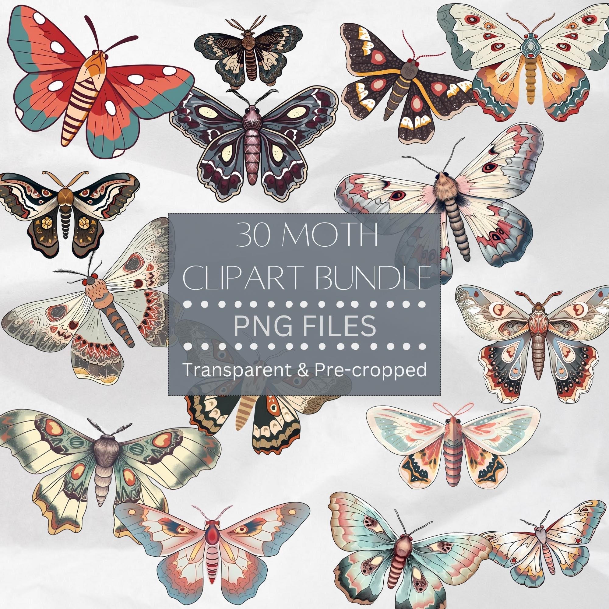 Moth Clipart Bundle, Digital Stickers for Scrapbooking, DIY Projects ...