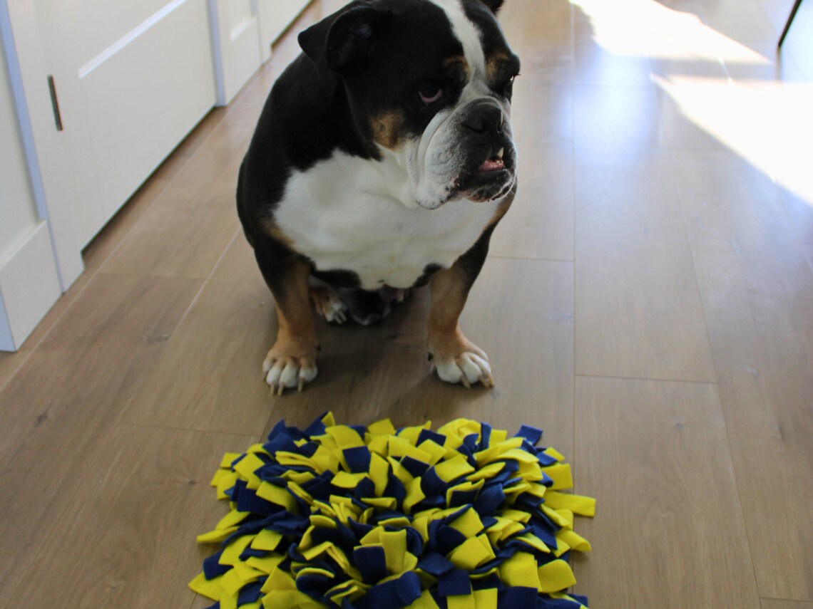 Snuffle Mat Dog Snuffle Mat Cat Snuffle Mat Dog Enrichment Mat Cat ...