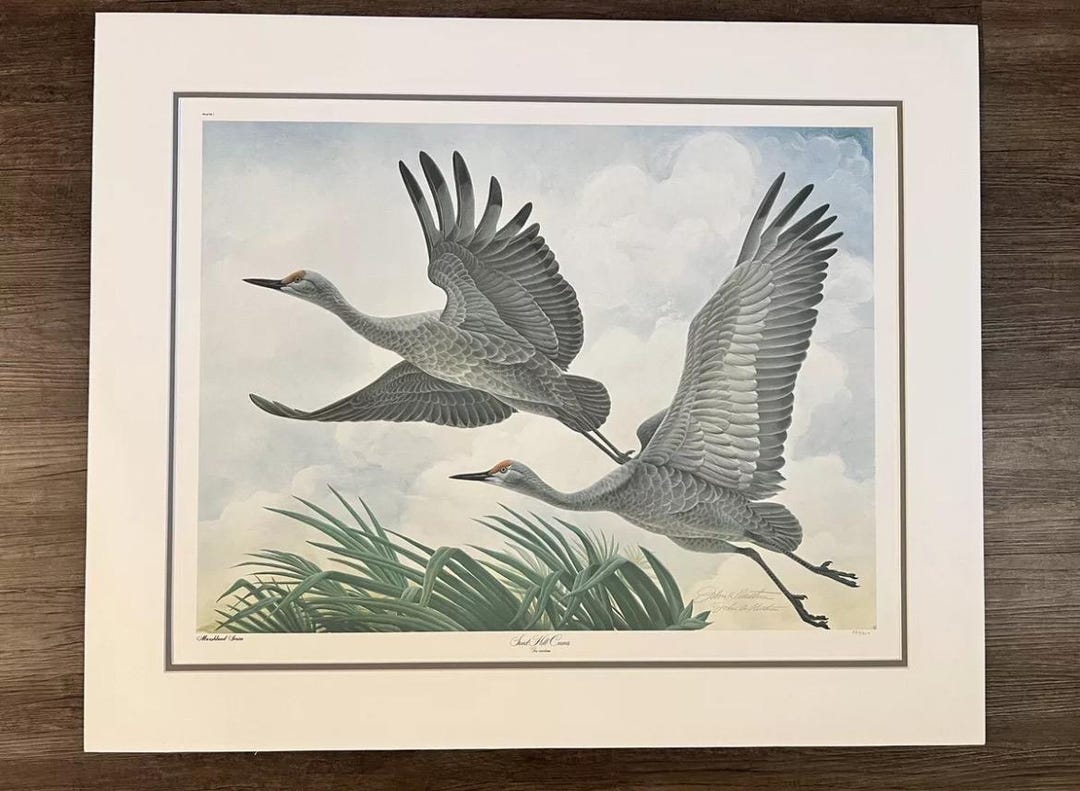 John Ruthven Signed Limited Edition Print "sand Hill Cranes" 26x21 - Etsy
