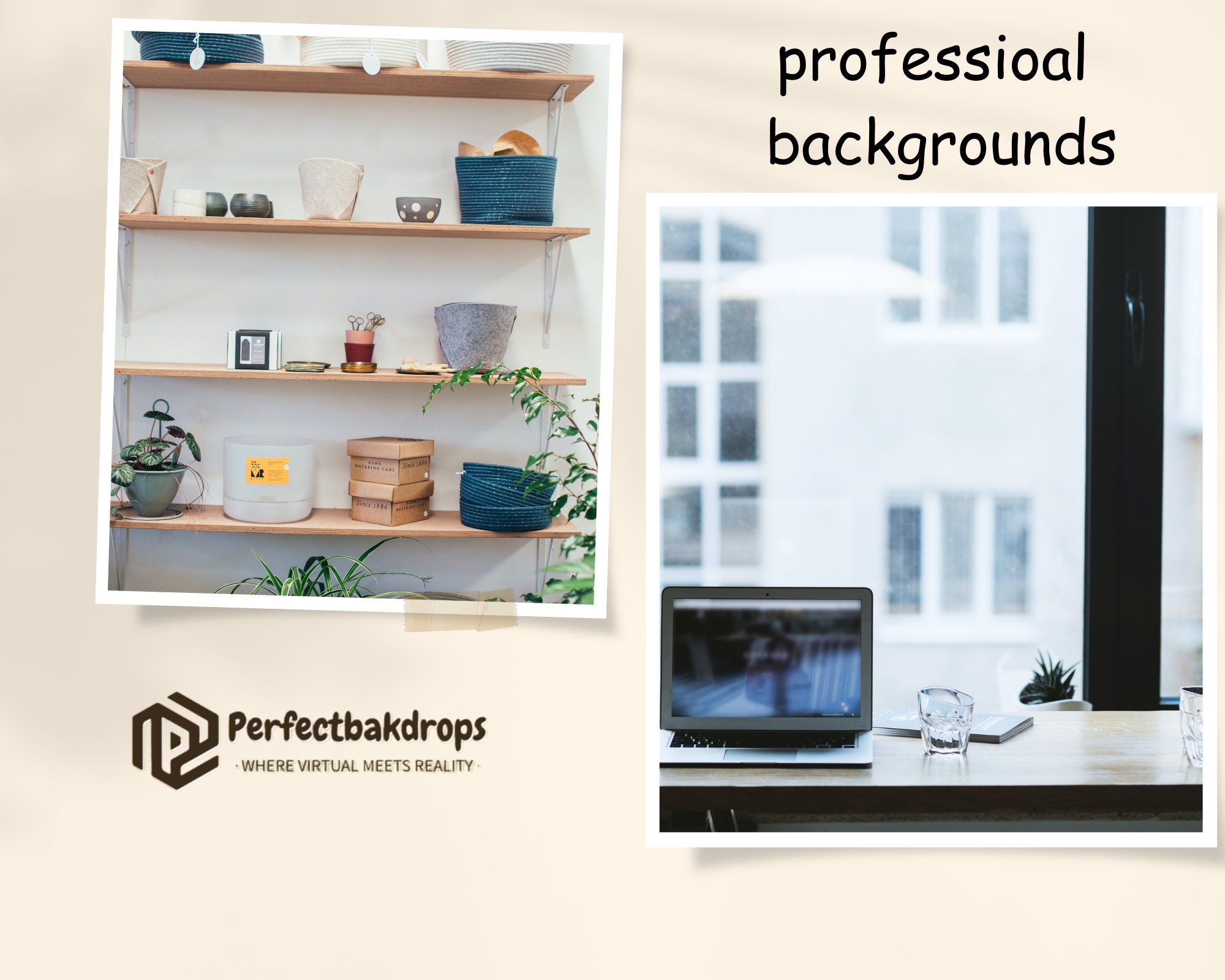 Green Oasis: Zoom Shelf and Plants Virtual Background for a Serene ...