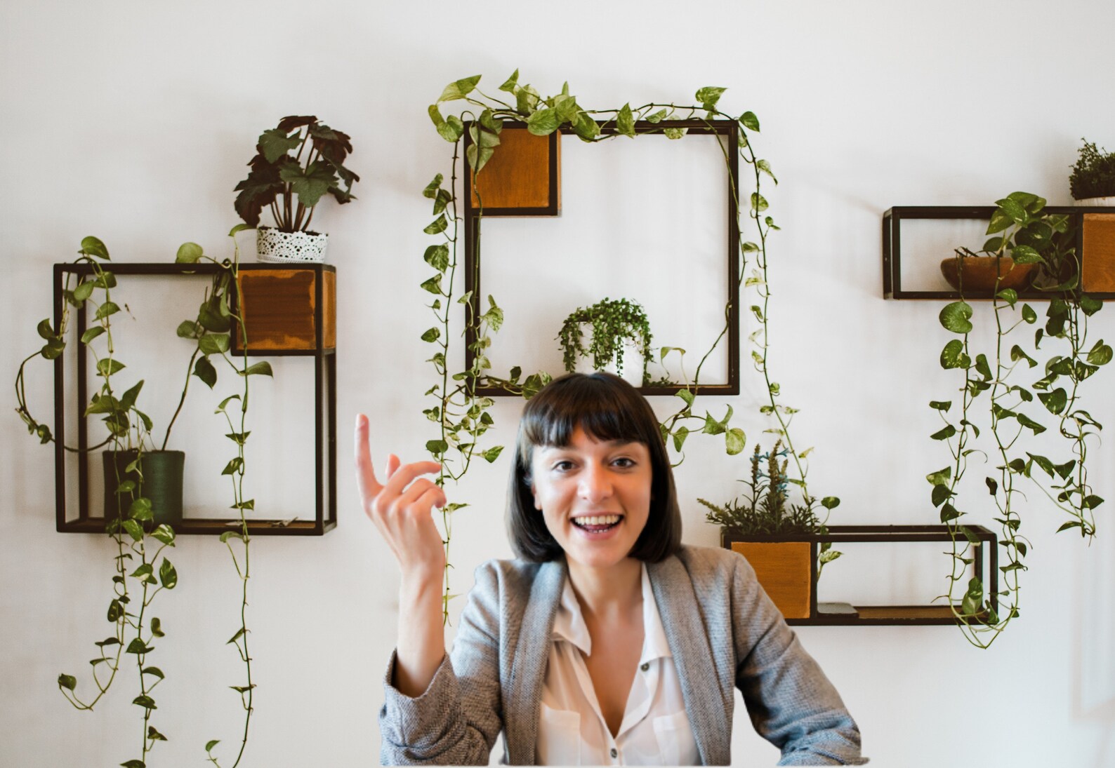 Green Oasis: Zoom Shelf and Plants Virtual Background for a Serene ...