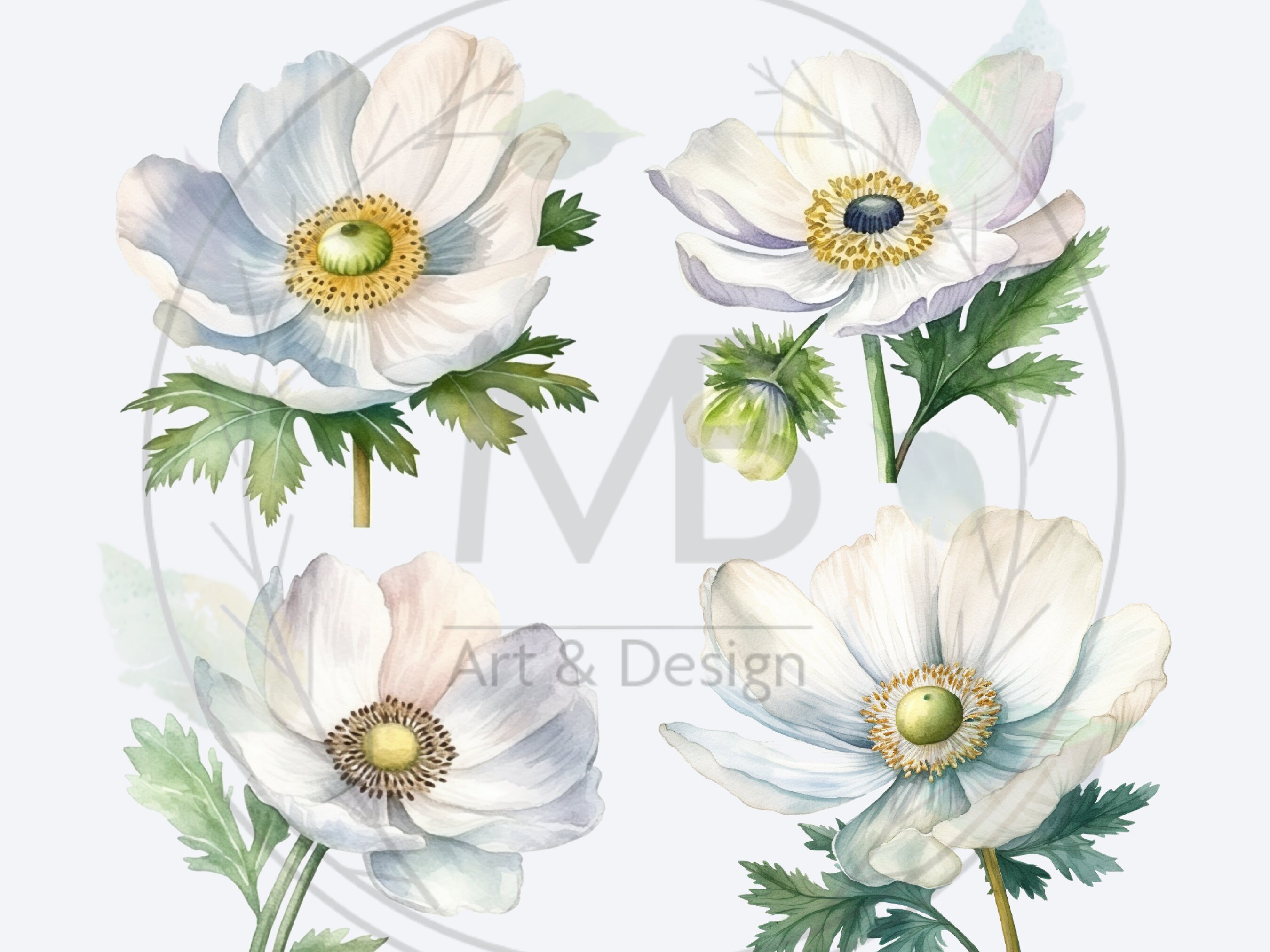 Anemone | Watercolor Flower Clip Art | Floral Bundle | Instant Download ...