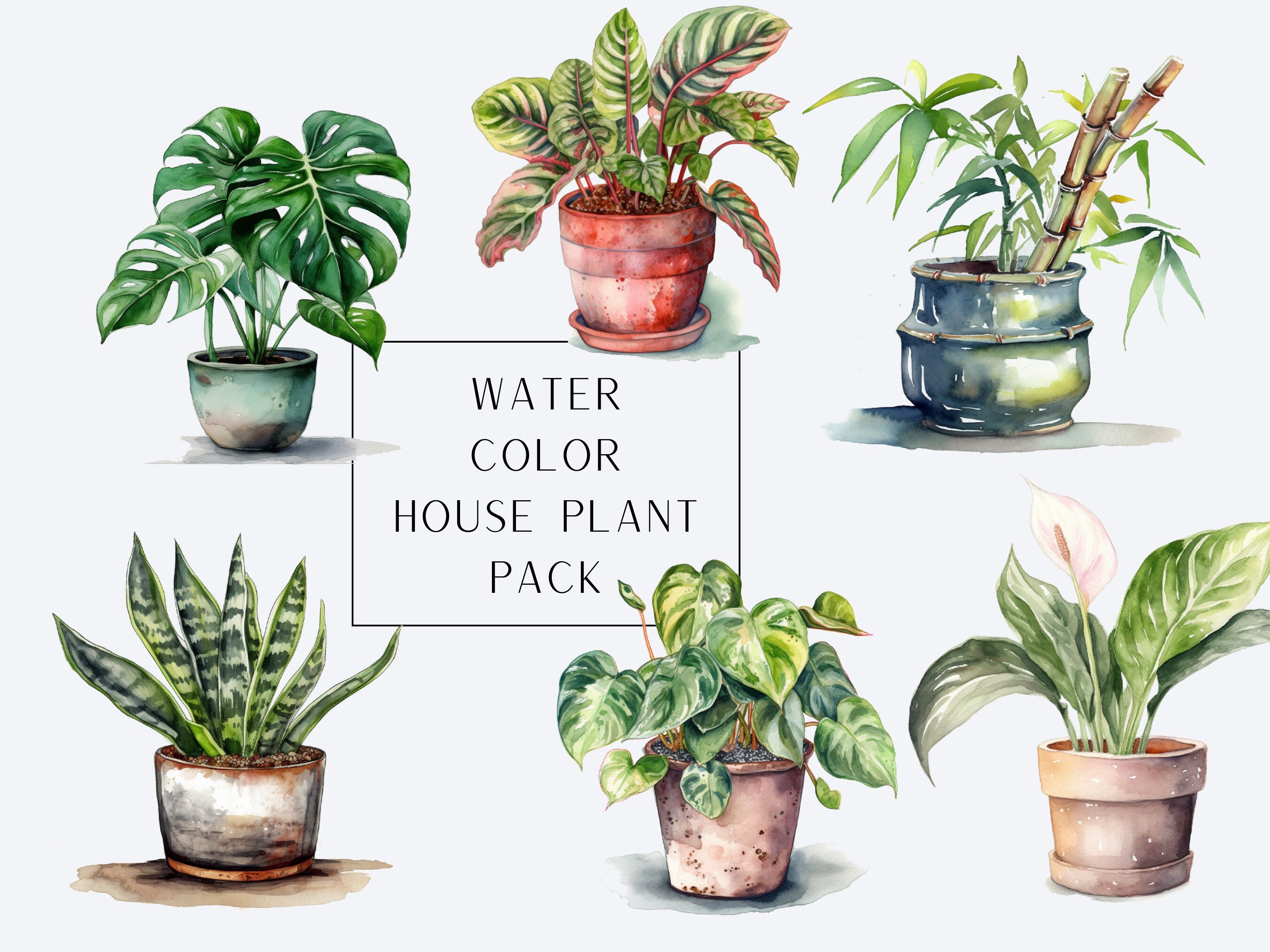 Watercolor House Plant Clip Art | Monstera | Potted Bundle | Instant ...