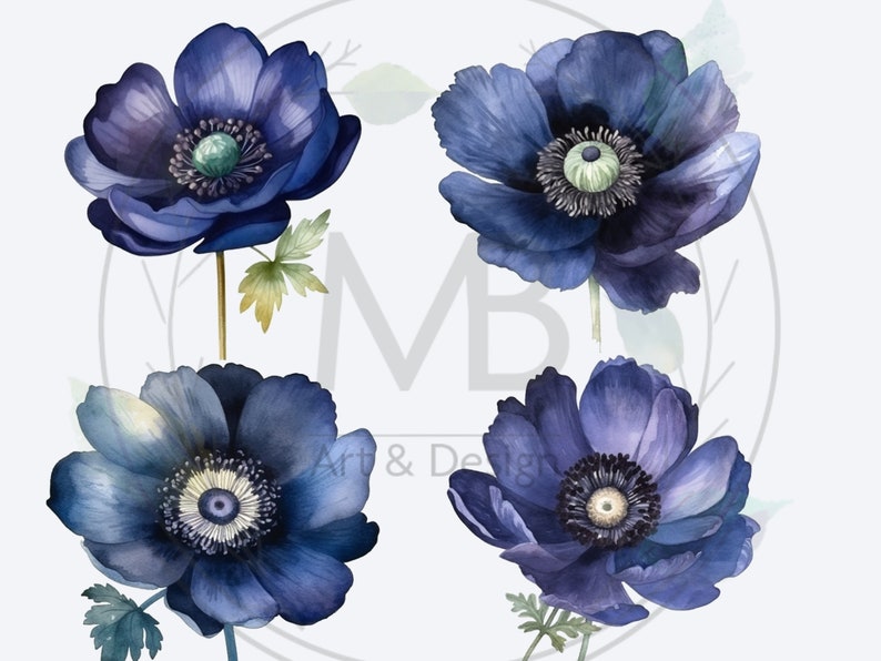 Anemone Watercolor Flower Clip Art Floral Bundle Instant Download PNG ...