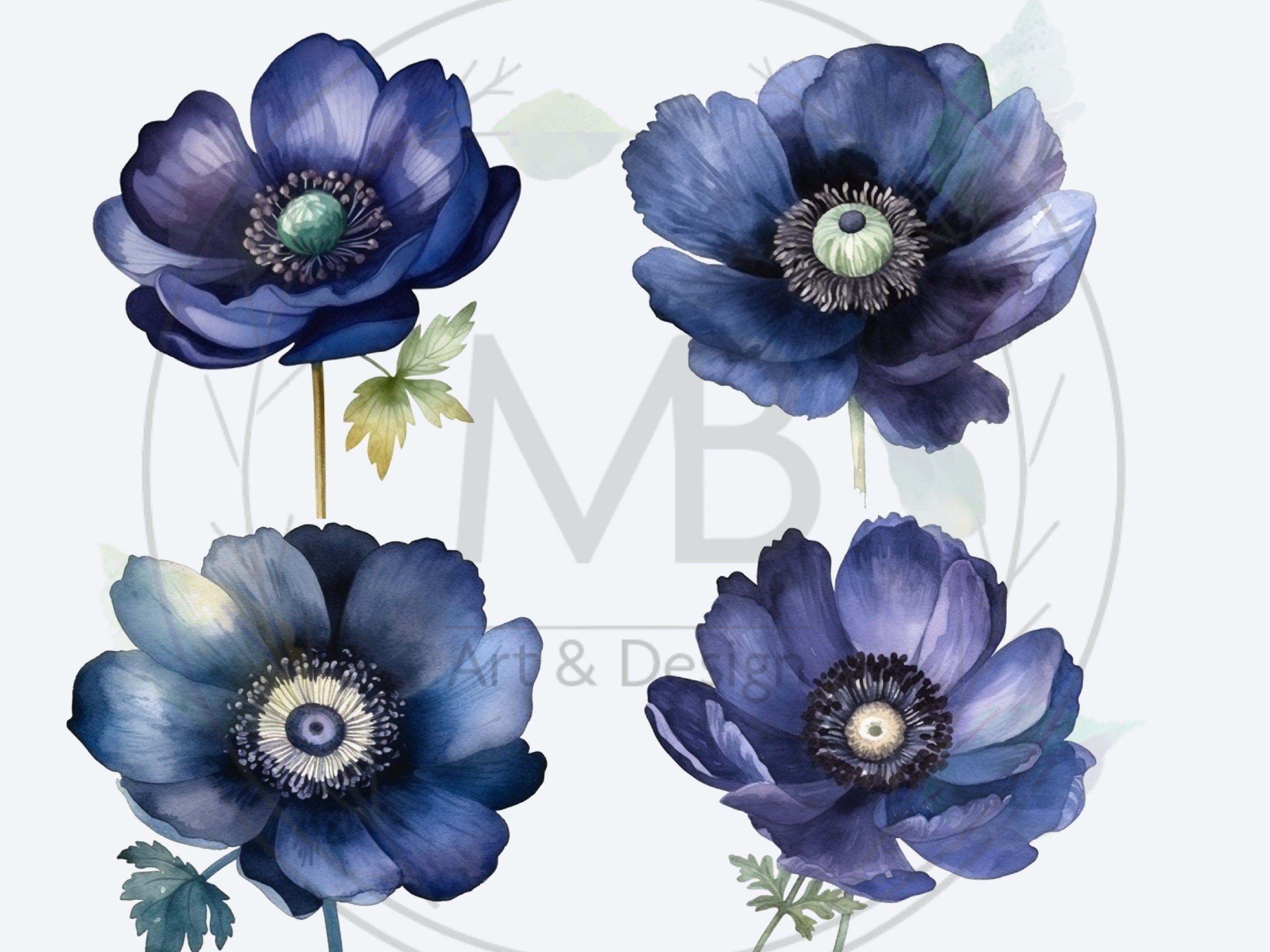 Anemone | Watercolor Flower Clip Art | Floral Bundle | Instant Download ...