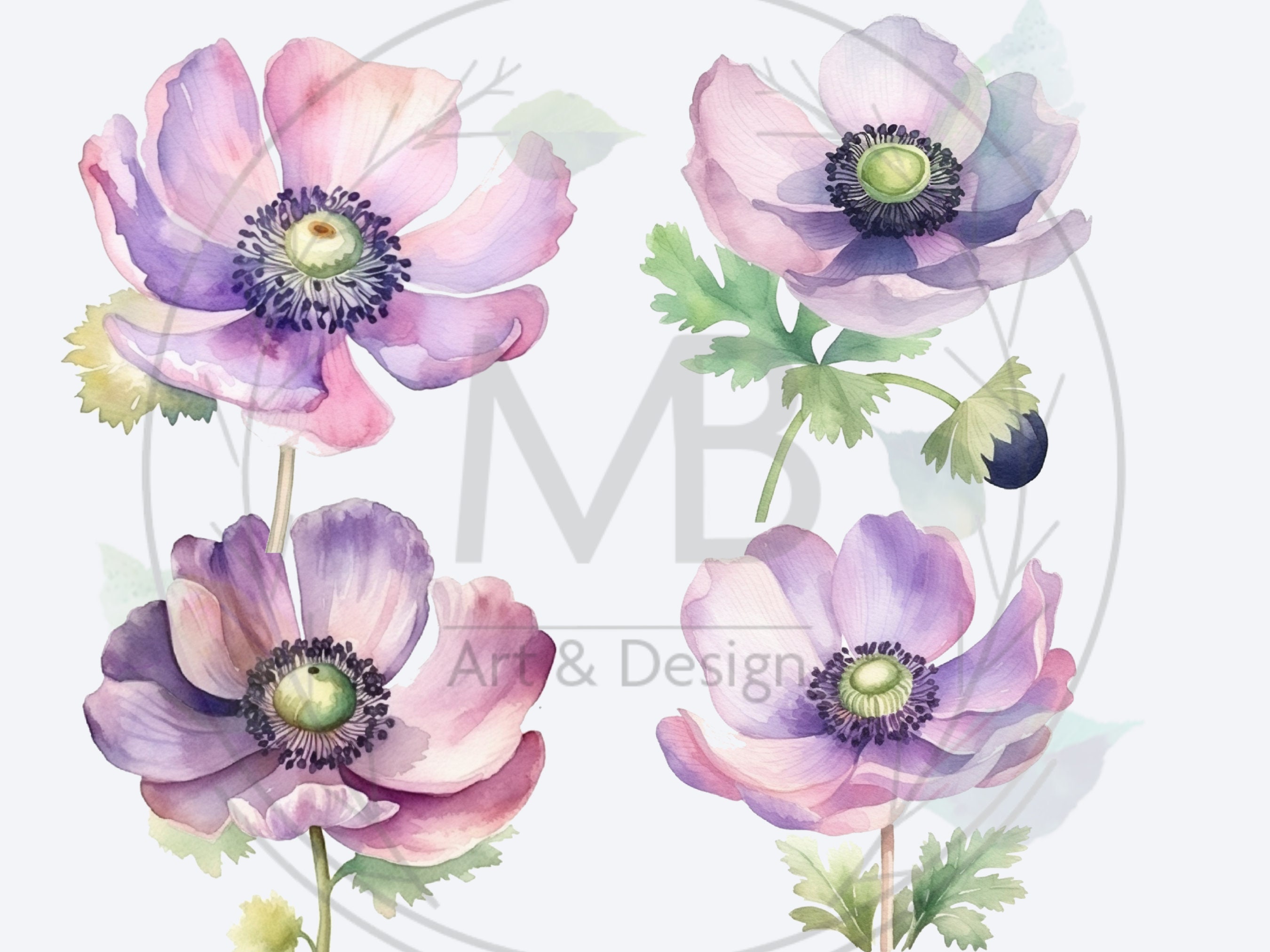 Anemone | Watercolor Flower Clip Art | Floral Bundle | Instant Download ...
