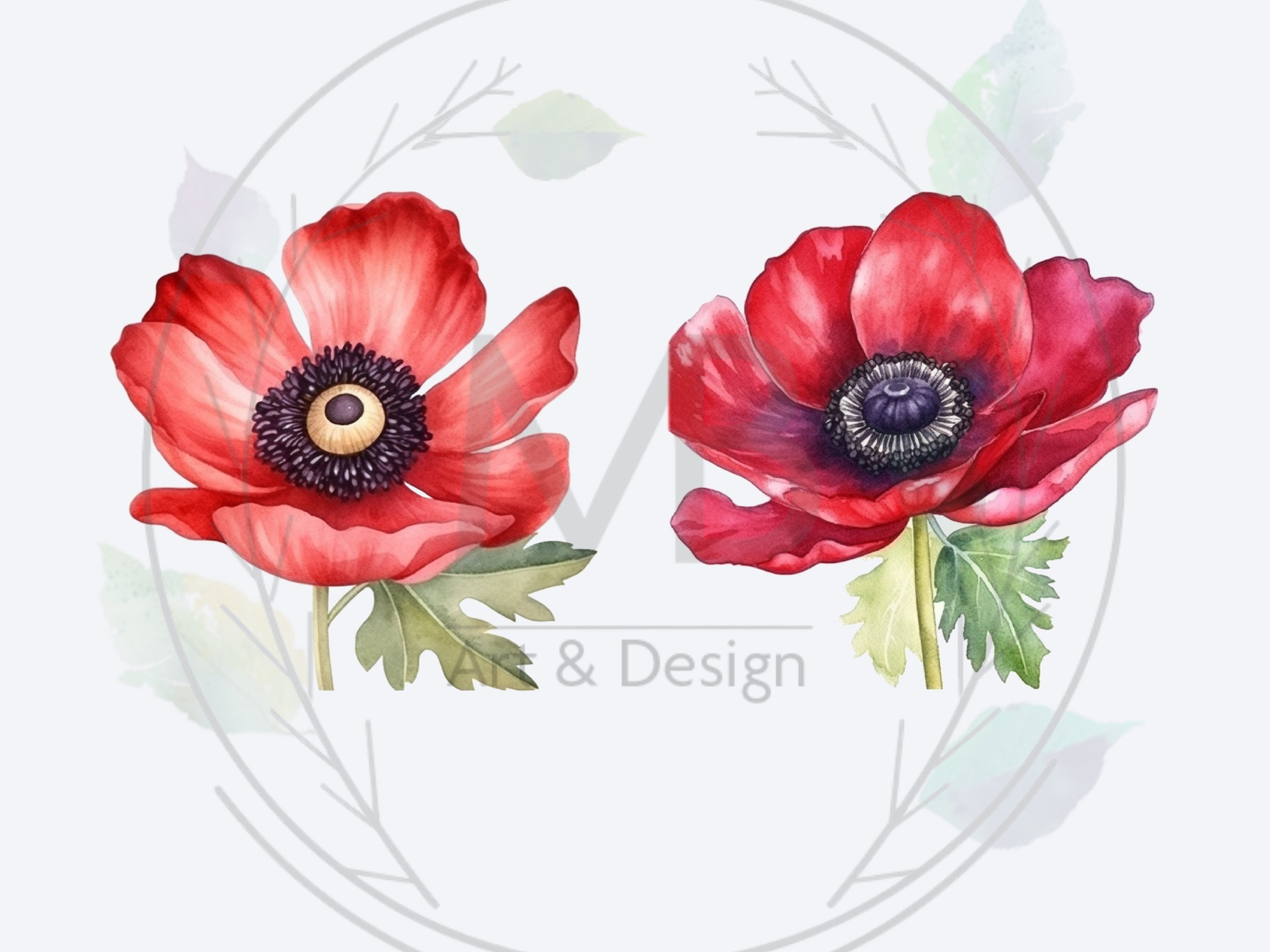 Anemone Watercolor Flower Clip Art Floral Bundle Instant Download PNG ...