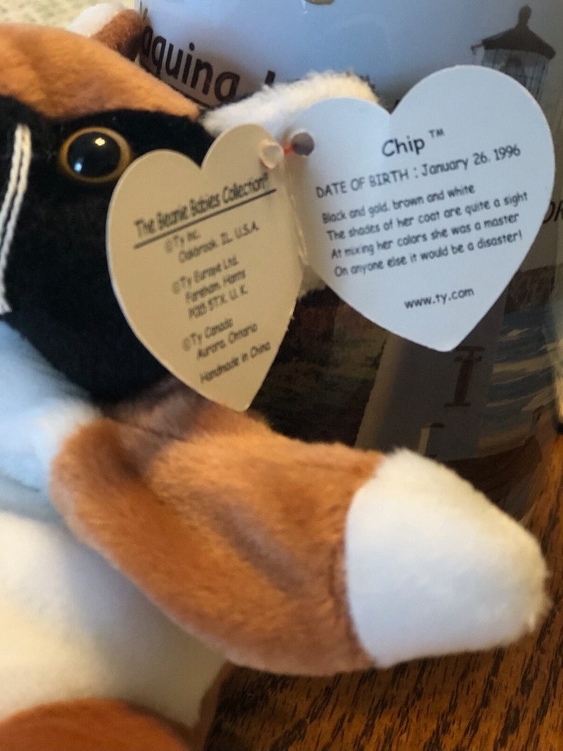 Original Chip the Cat Beanie Baby Mint Condition 1996 - Etsy