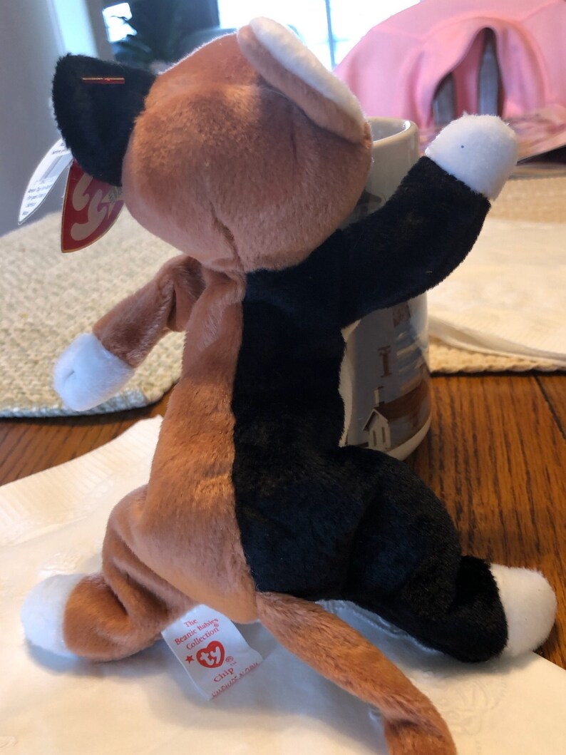 Original Chip the Cat Beanie Baby Mint Condition 1996 - Etsy