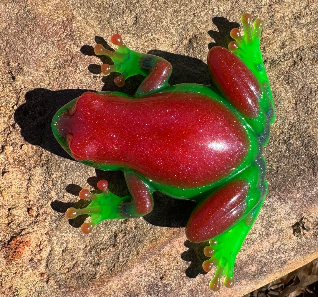 Fanny the Glowing Garden Frog - Etsy