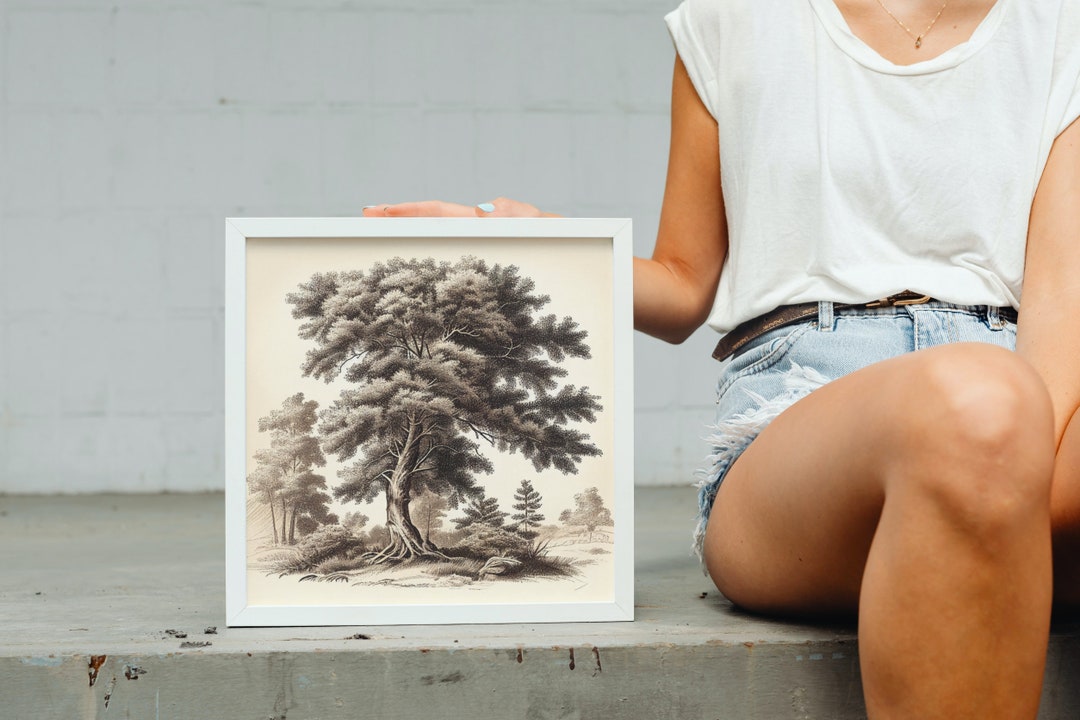 Vintage Tree Drawing - Etsy