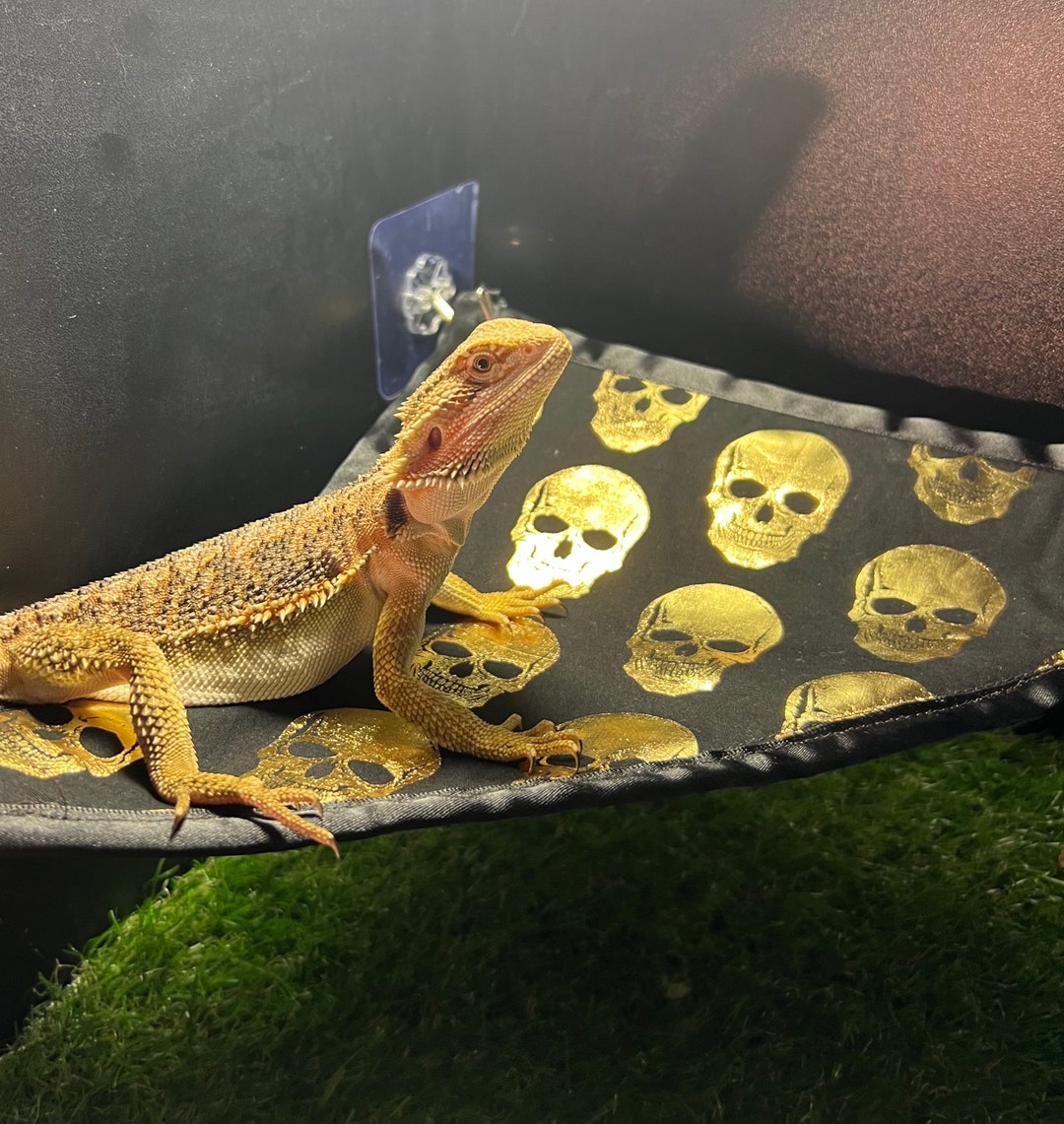 Limited Edition, Halloween Bearded Dragon Hammock - Etsy