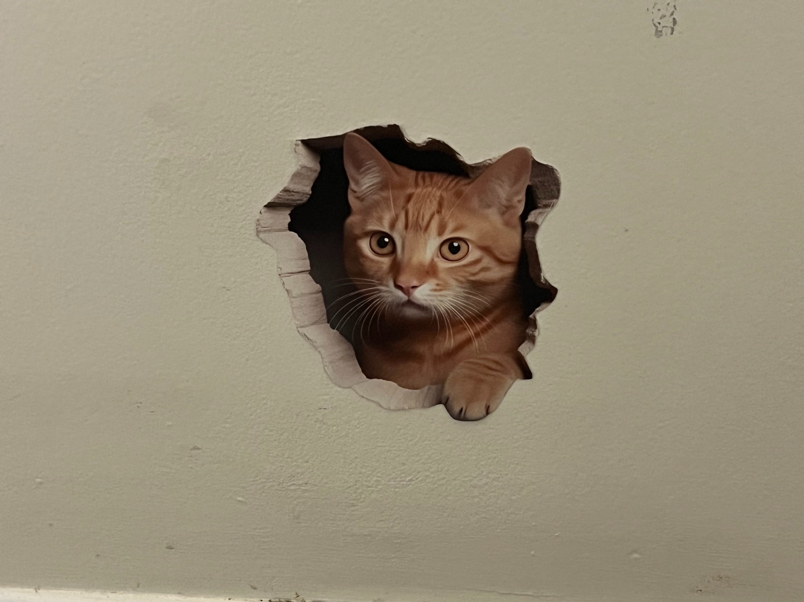 Realistic Cat Wall Hole Decal Digital Download Cat - Etsy