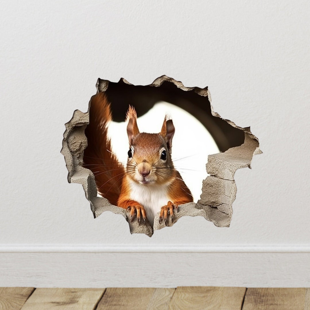 Squirrel Hole in Wall Decal Squirrel Hole in the Wall Sticker - Etsy