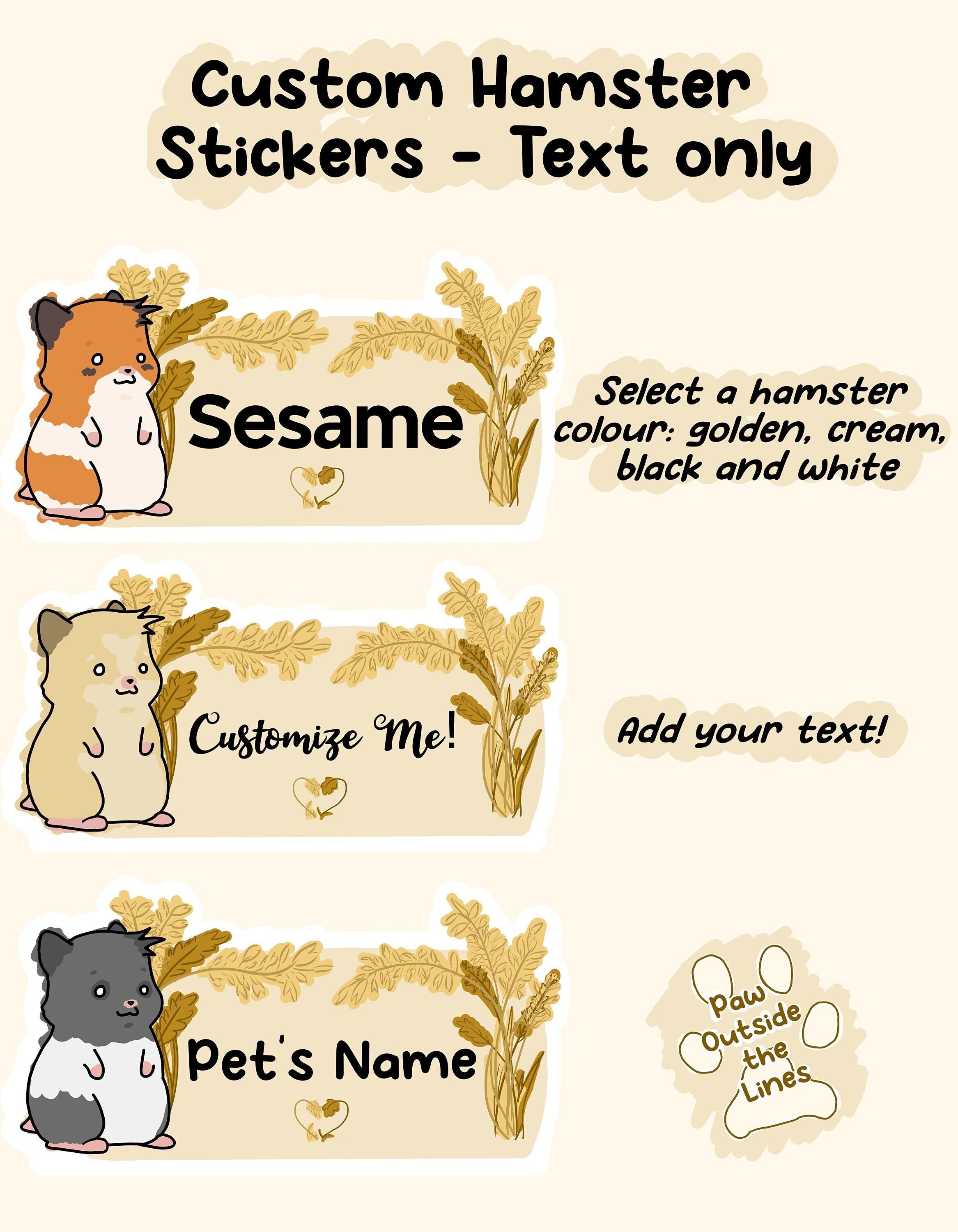 Syrian Hamster Colors And Patterns