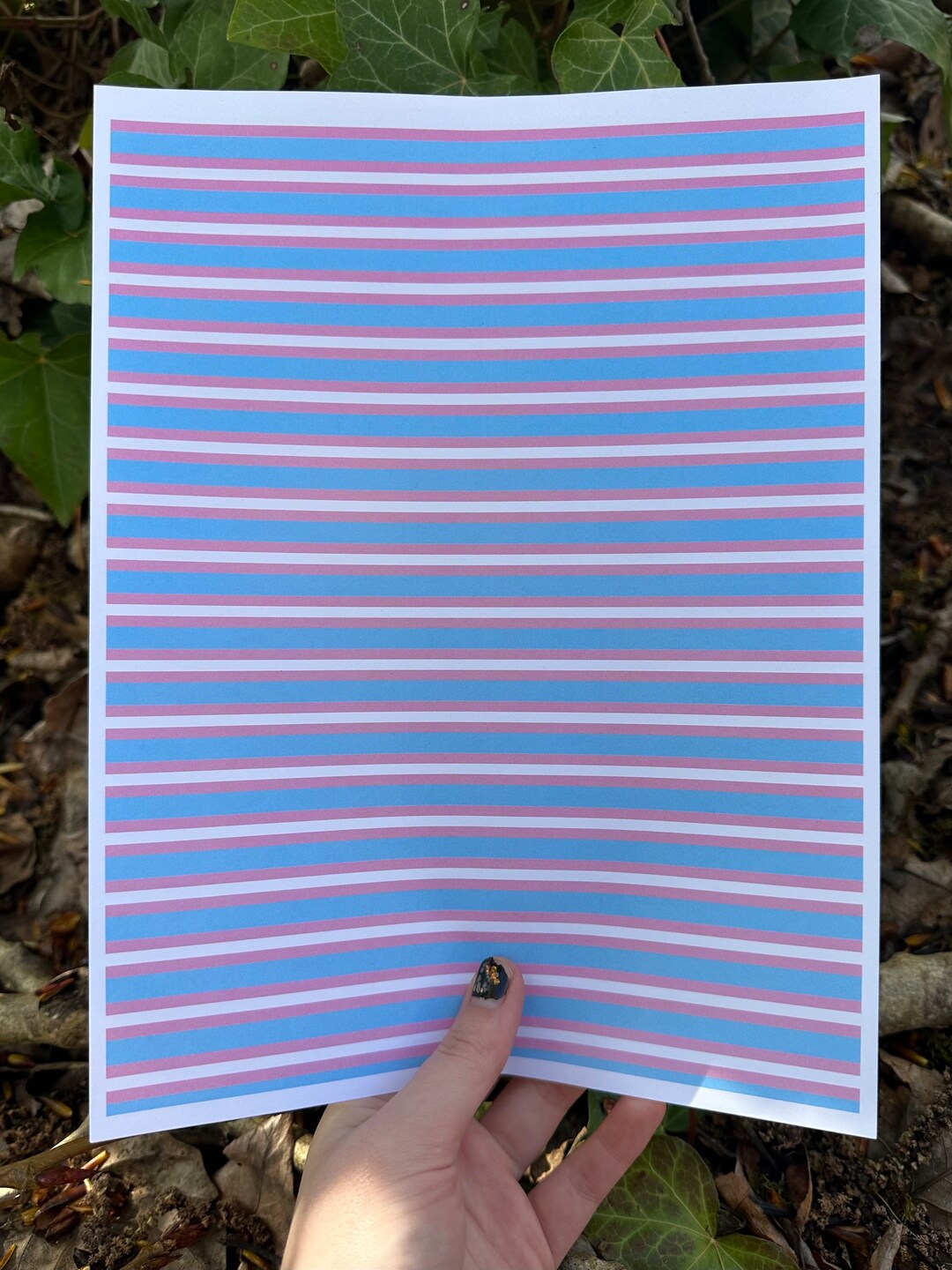 Transgender Pride Flag Paper - Etsy