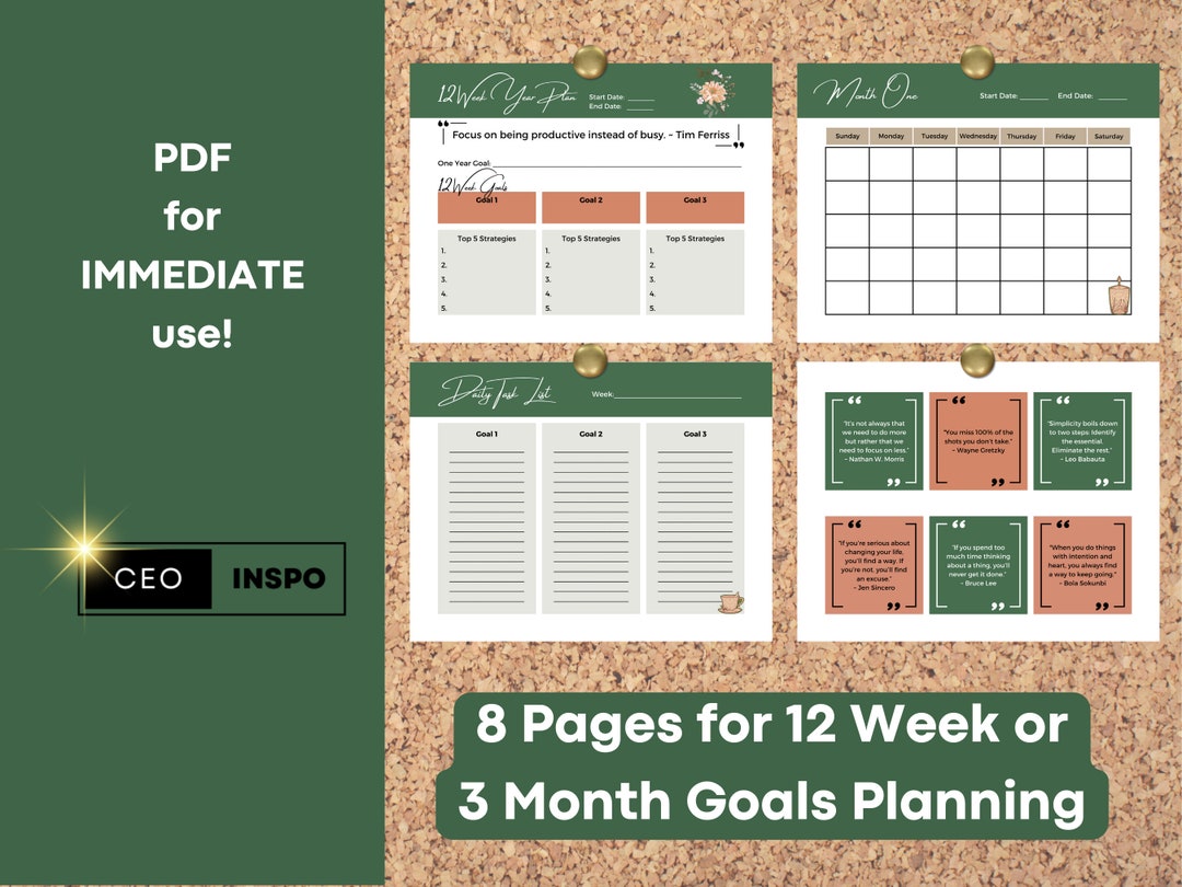 3 Month Planner and 12 Week Goal Setting for Entrepreneurs, Students ...