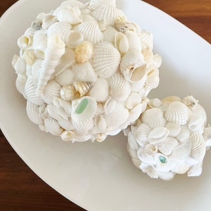 White Sea Shells Bowl Filler, Sea Side Home Decor, Summer Cottage Decor ...