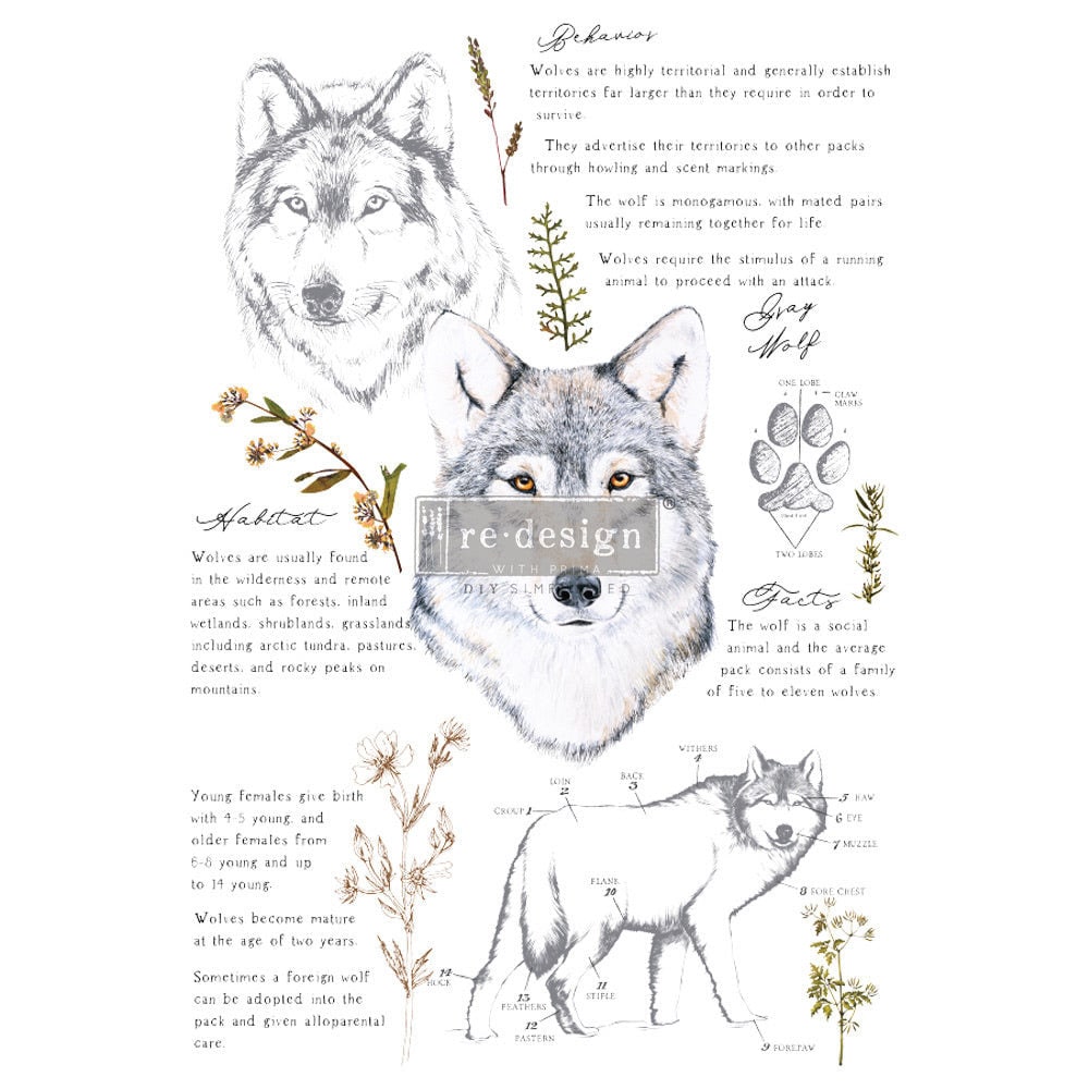 Gray Wolf Transfer Redesign With Prima - Etsy
