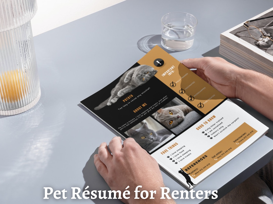 Cat Résumé/cv for Rental Application: Fully Editable | Canva Template ...