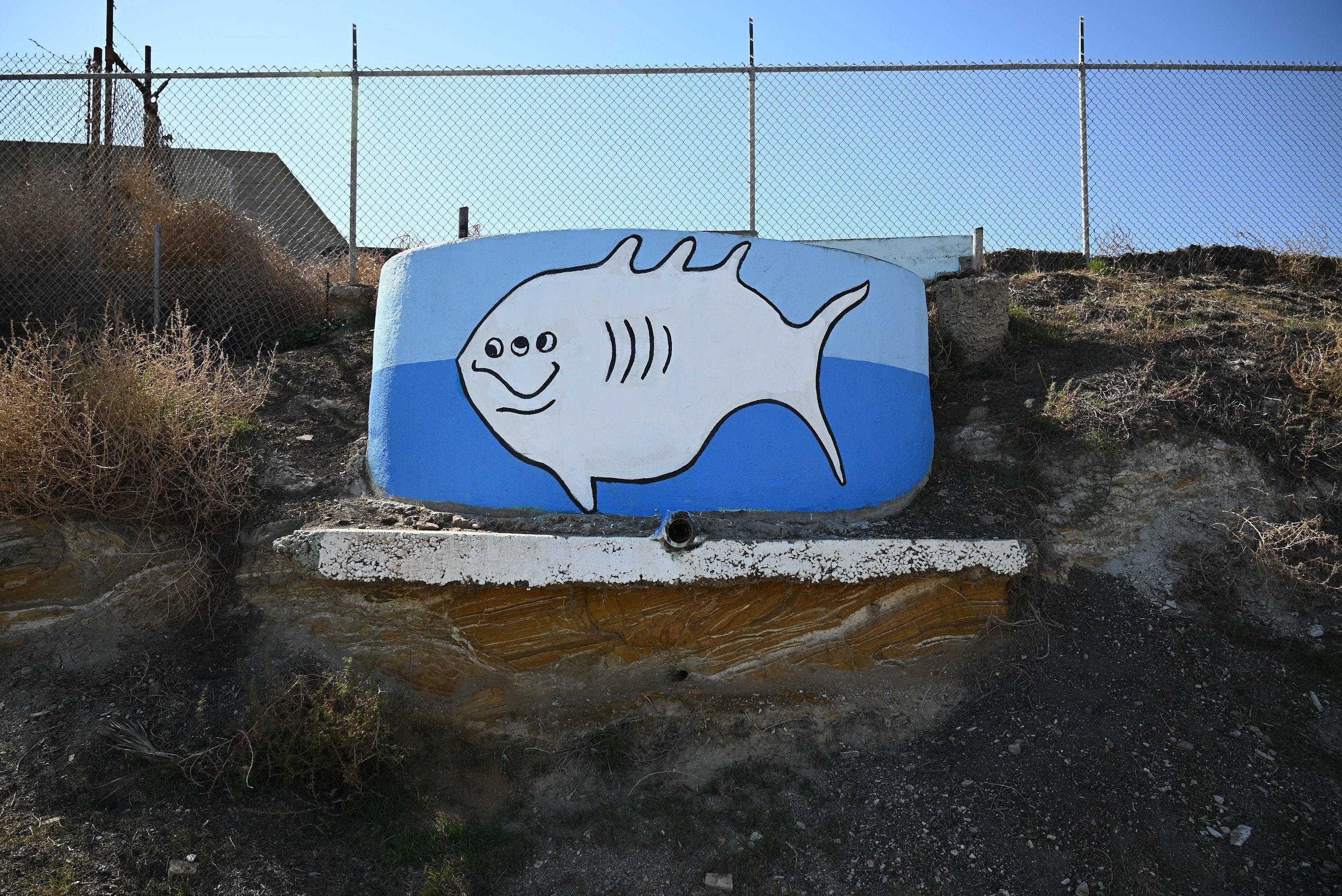 Real Three Eyed Fish