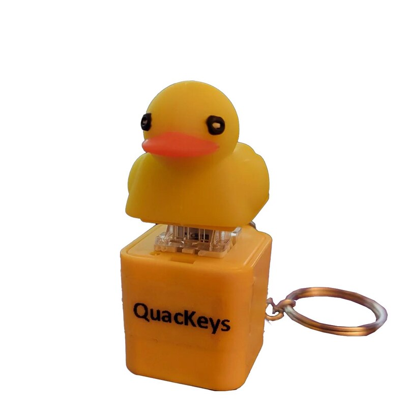 Duck Keyboard That Quacks - Etsy