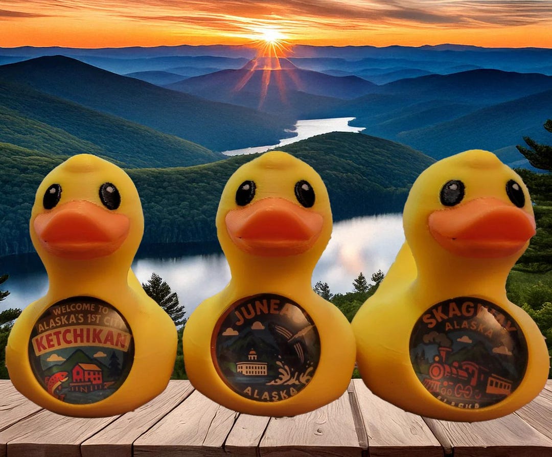 Quackspot Port Ducks: Your Cruise Adventure in a Duck! - Etsy