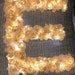 Light up Flower Covered Wood Letter - Etsy