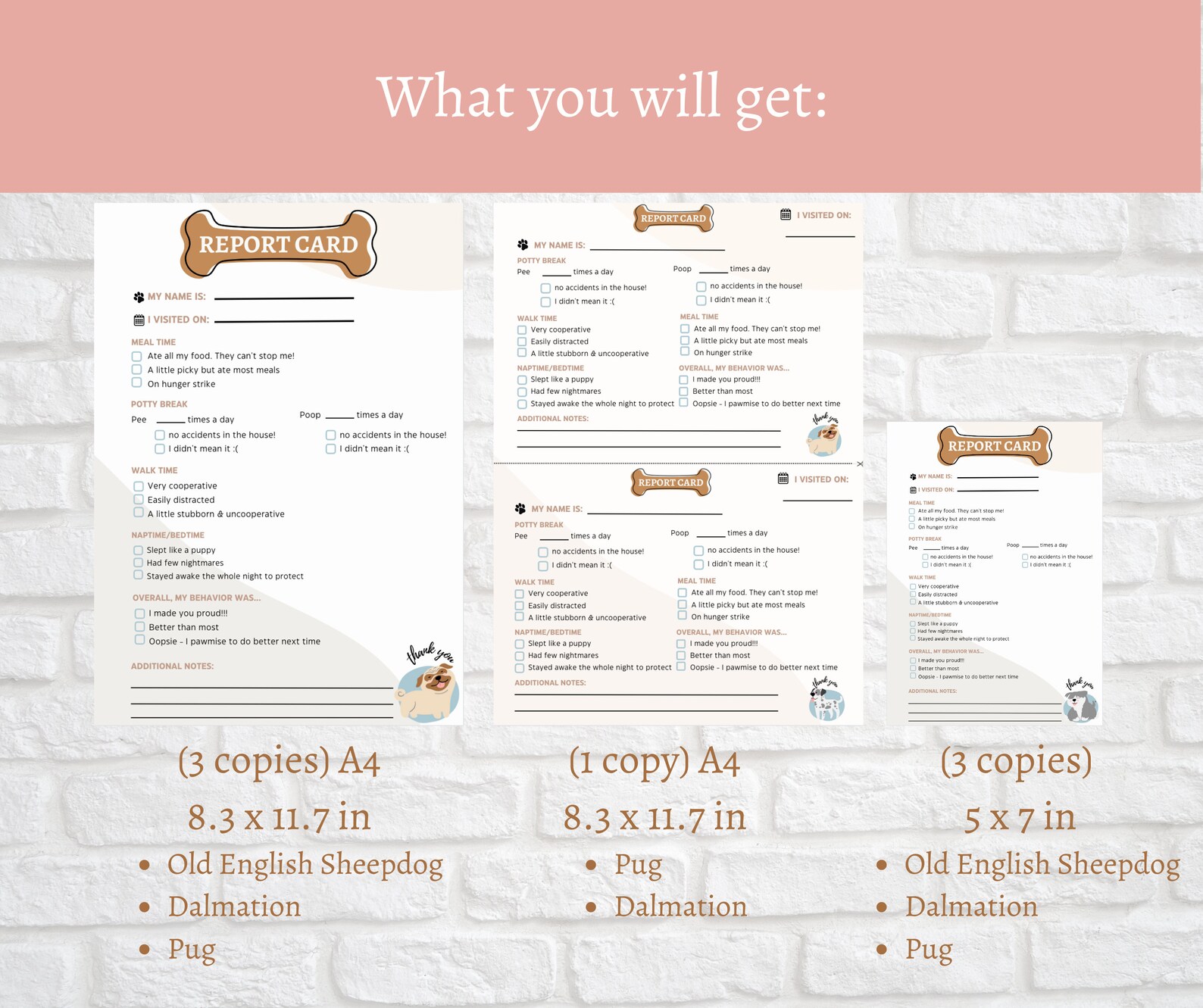 Dog Boarding/sitting Report Card Template - Etsy