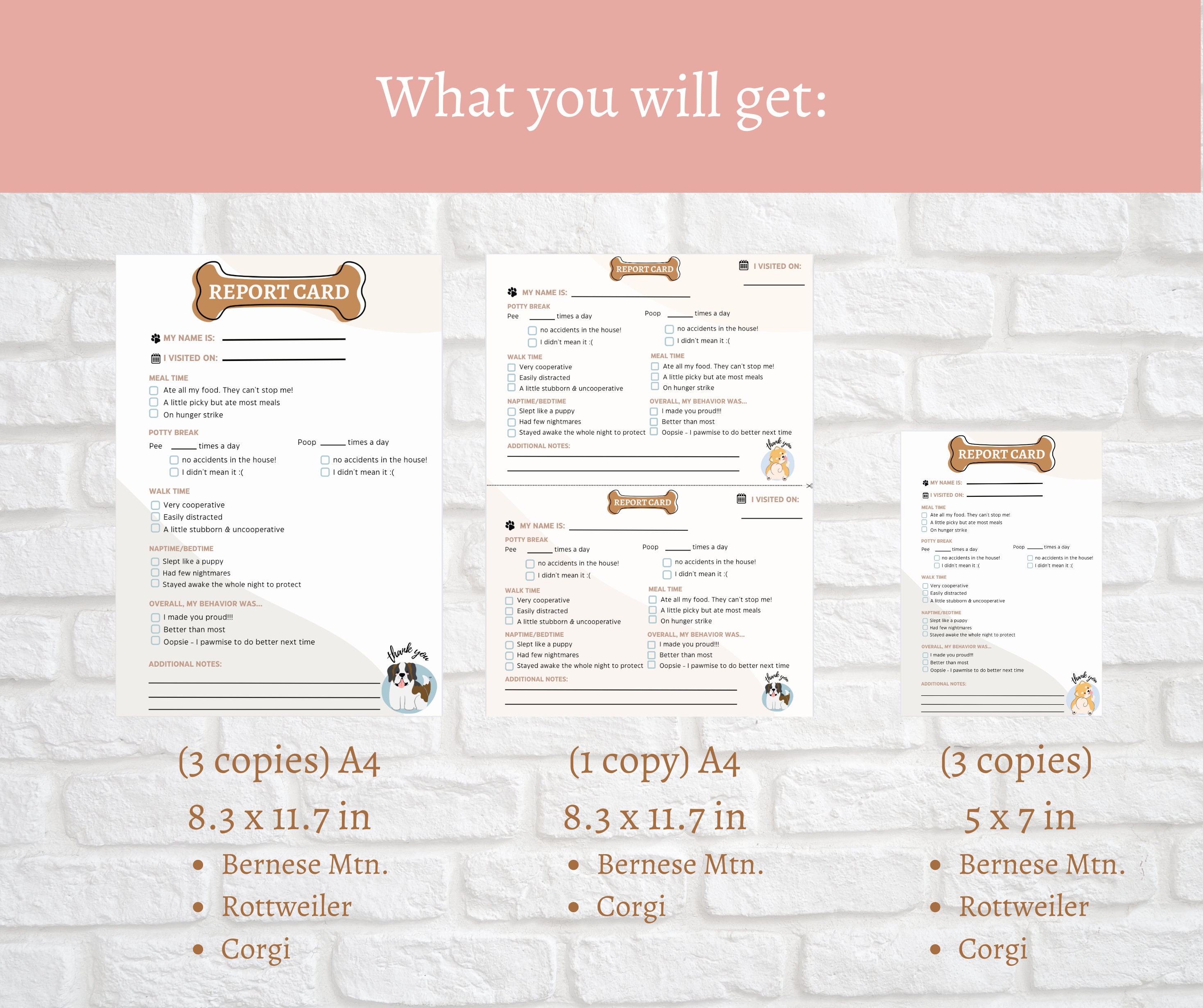 Dog Boarding/sitting Report Card Template - Etsy