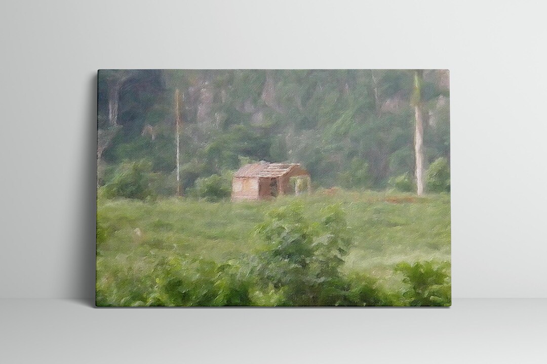 Small Cabin in Open Field With Surrounding Trees and Palm Trees Canvas ...