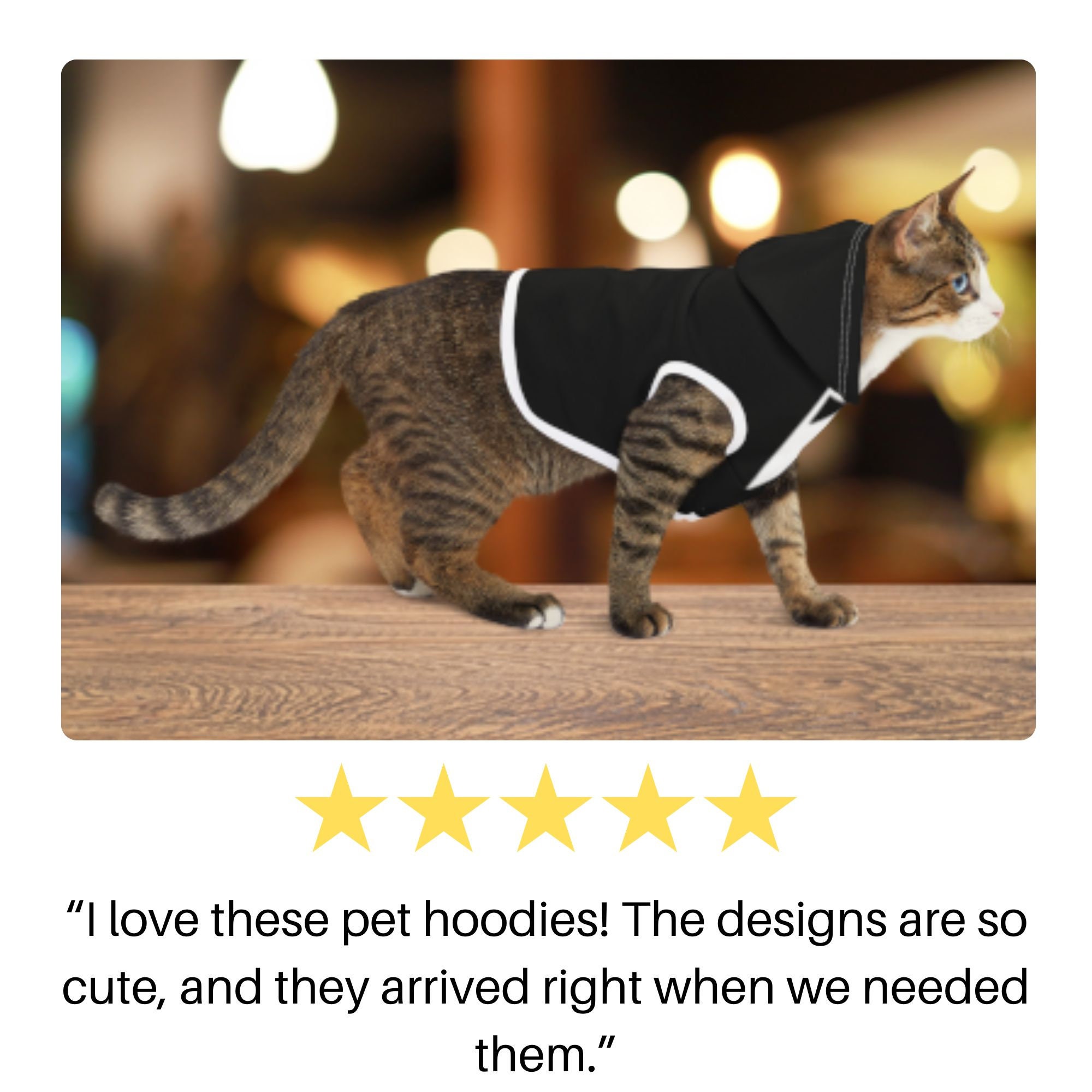 Cat Tuxedo Cat Ring Bearer Outfit for Cat Ring Bearer Suit Dog Matching ...