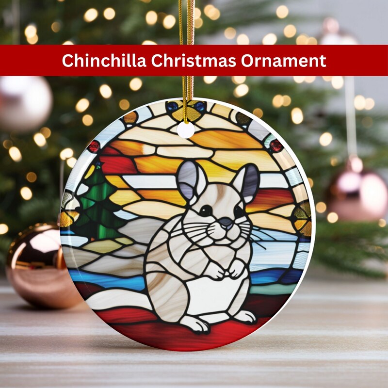 Chinchilla Cage - Etsy