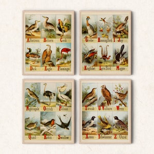 Alphabet Illustrations of Birds, Vintage Picture ABC Chart, Printable ...