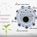 Xpod Hydro: Vertical Hydroponic Grow Tower for Indoor Gardening ...