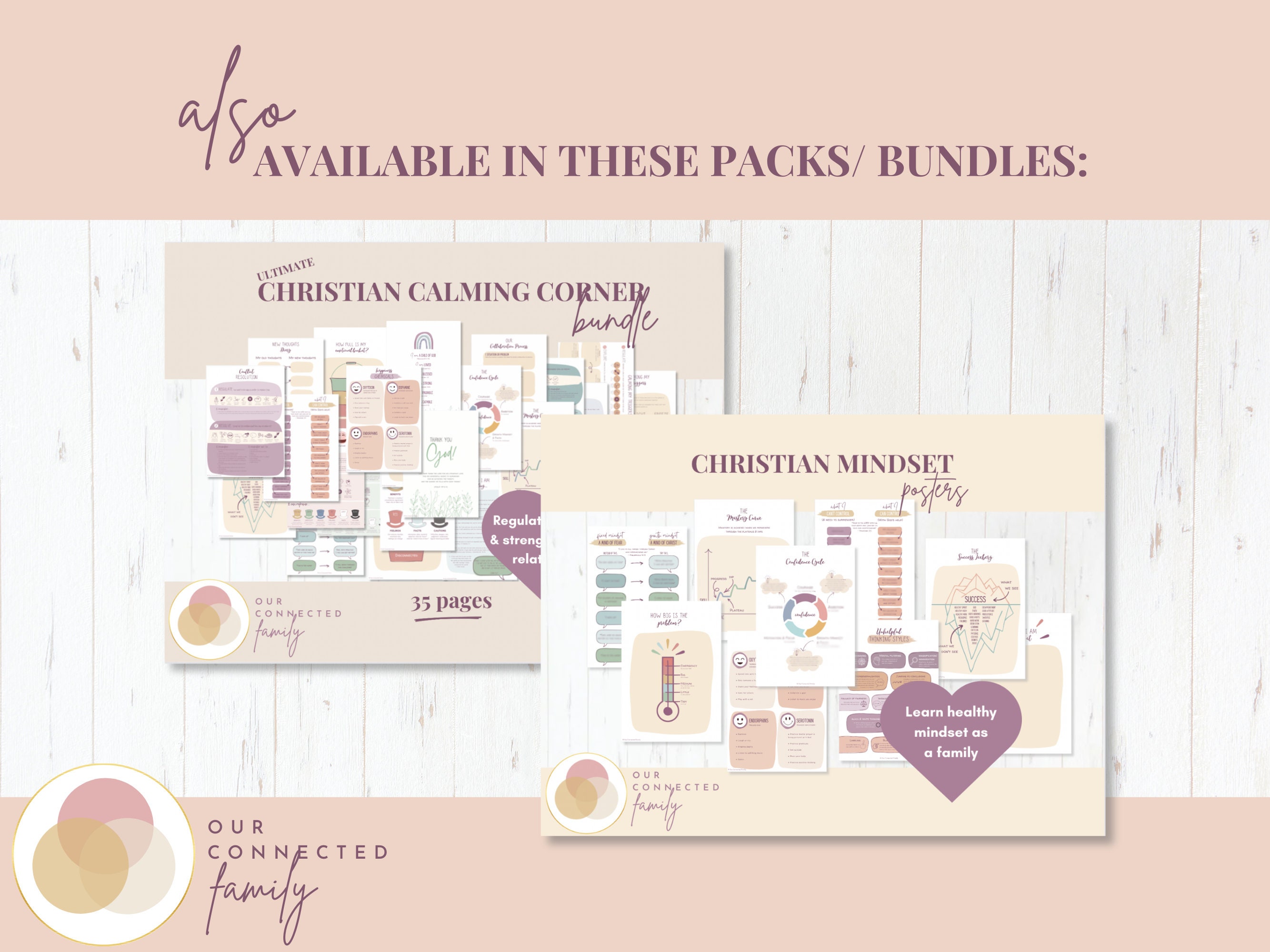 How Big is the Problem Poster Thermometer Zones of Regulation Poster ...