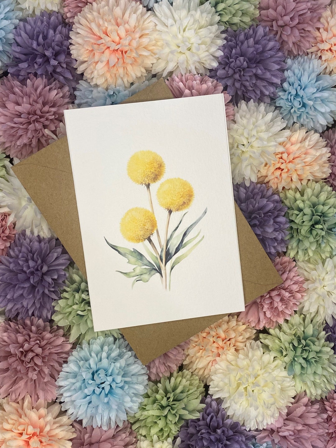 Australian Native Billy Button Watercolor Greeting Card - Etsy