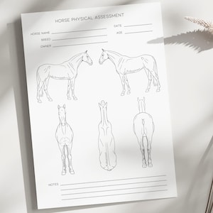 Horse Physical Assessment Form | Horse Bodywork | Equine Form | Horse ...