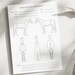 Horse Physical Assessment Form | Horse Bodywork | Equine Form | Horse ...